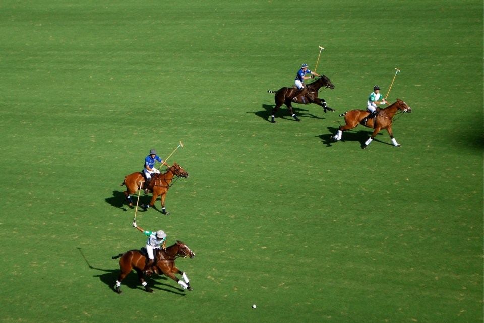 Field Notes || Argentine Polo Open | Quite Continental