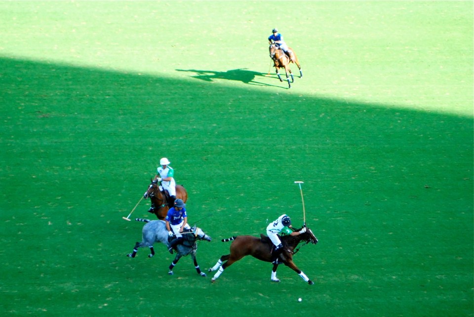 Field Notes || Argentine Polo Open | Quite Continental