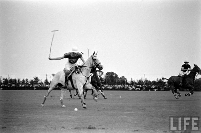 New Addition | Quite Continental