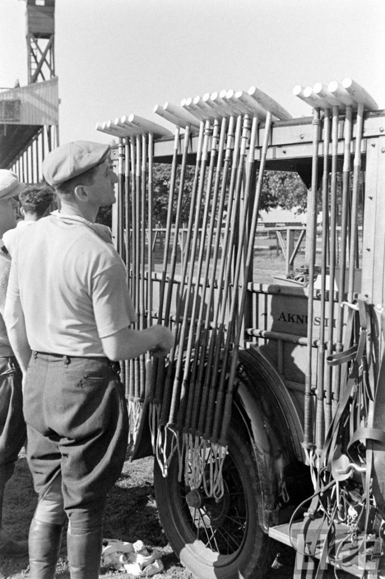 New Addition | Quite Continental